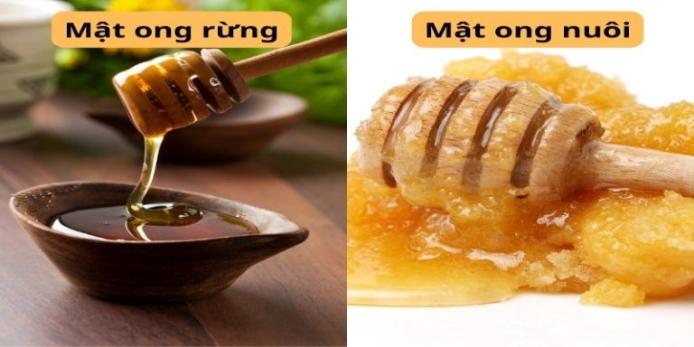 Phân Biệt Mật Ong Rừng Và Mật Ong Nuôi: Hướng Dẫn Chọn Đúng